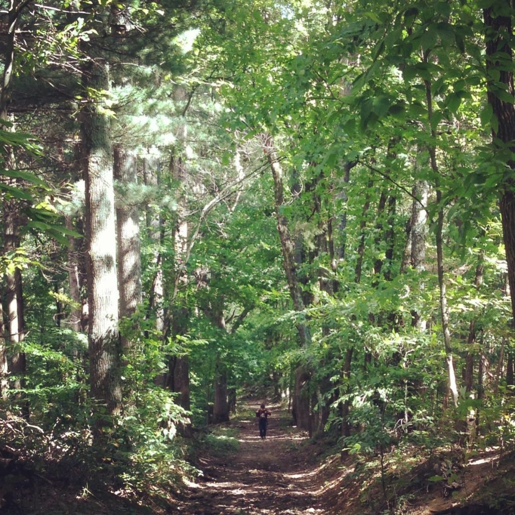 “The Gradual Destruction of Indiana’s Longest Footpath”: A Knobstone ...