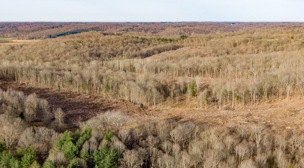 Indiana Forest Alliance Home Page – Indiana Forest Alliance