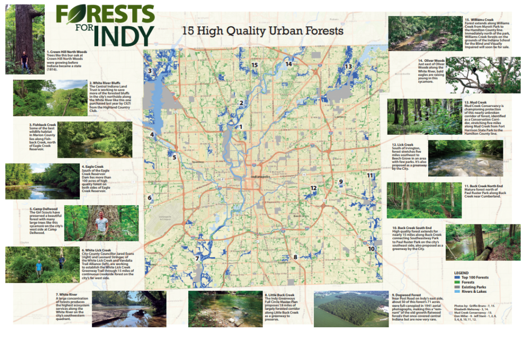 Forests for Indy – Indiana Forest Alliance